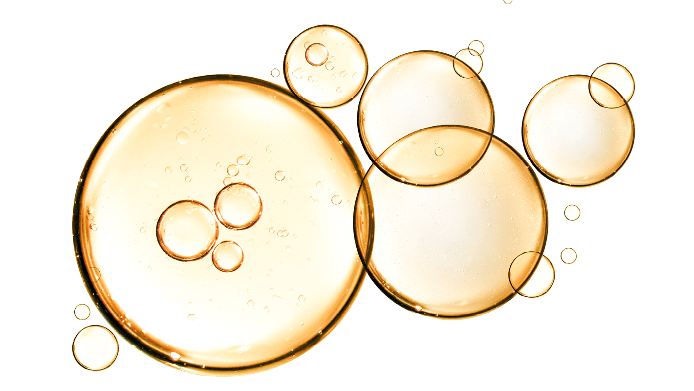 What is the phenomenon of inflamm'aging ? | Laboratoire ENEOMEY